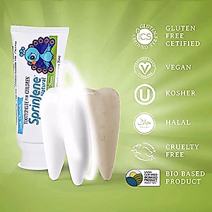 SprinJene Kids Toothpaste with Fluoride for Cavity Protection & Fresh Breath - Natural SLS Free Toddler Toothpaste for Childrens 2 Years & Up/Preservative & Toxic Free (1 Pack) Apple Mint