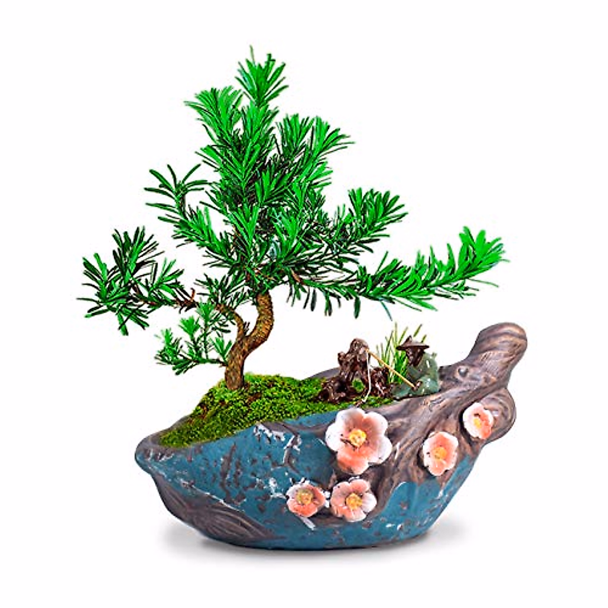 Dahlia 7" Oval Vintage Style Floral Detail Ceramic Succulent Planter/Plant Pot/Flower Pot, Turquoise