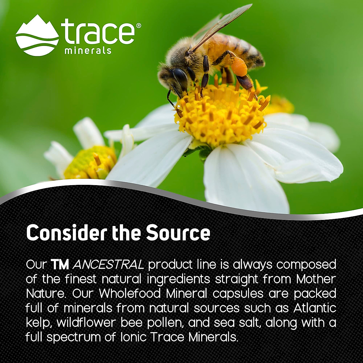 TM ANCESTRAL Wholefood Minerals Capsules | 642 mg/capsule (180 capsules) | Supports Hydration, Sleep, Brain, Nerves, & Digestion | Includes Bee Pollen, Atlantic Kelp, Ancient Sea Salt, and ConcenTrace