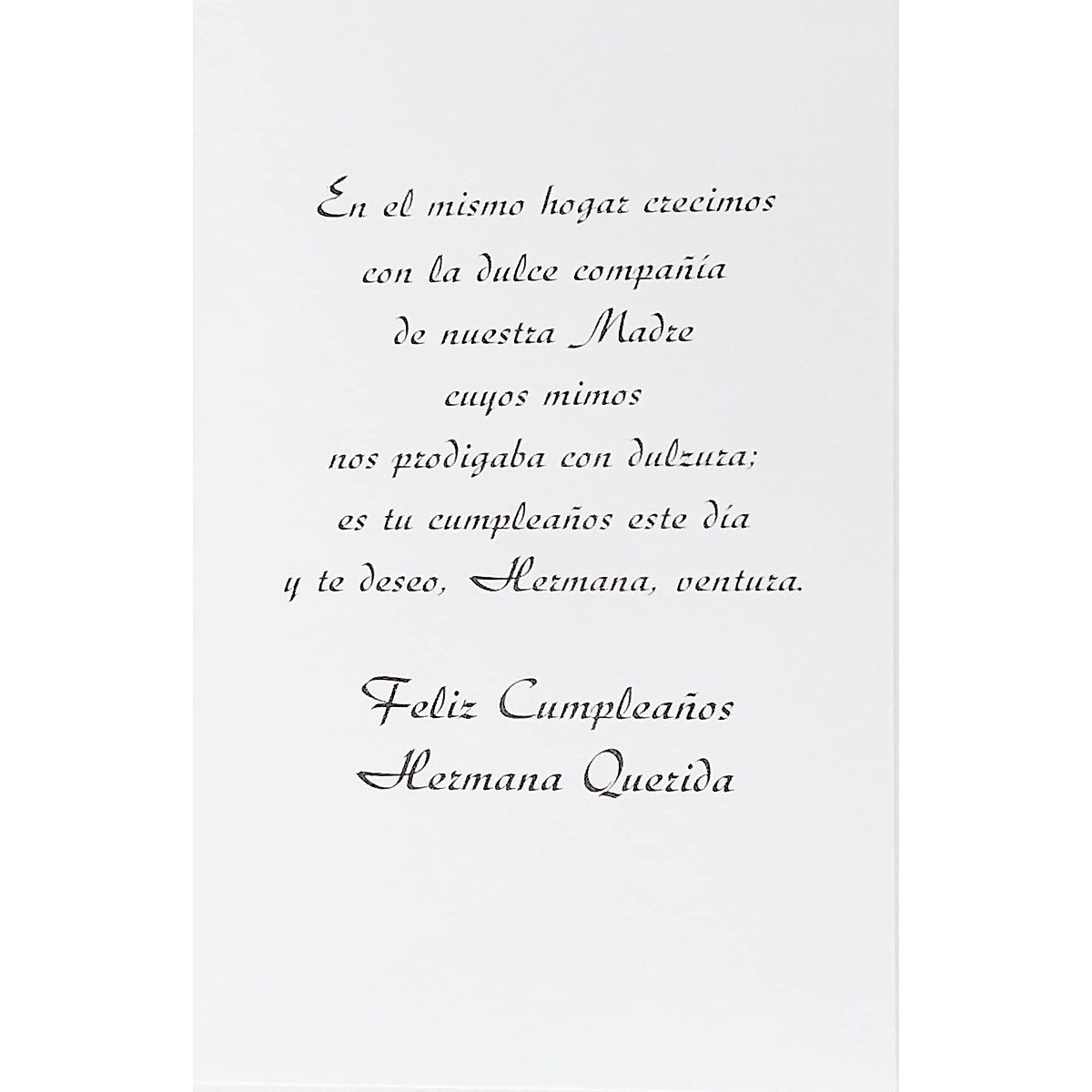 Feliz Cumpleanos Hermana Querida - Happy Birthday Sister Greeting Card in Spanish Espanol