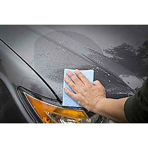 Bugs Out Bug Removing Sponge (6 Pack) - No Scratch - Cars, Trucks, RVs, and Boat