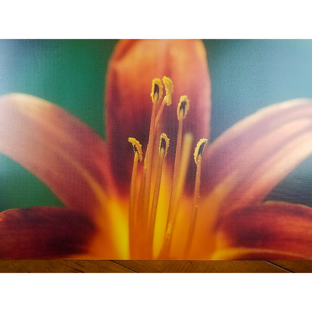 8.5" X 11" Canvas Textured Premium Inkjet Photo Paper - 5 Sheets