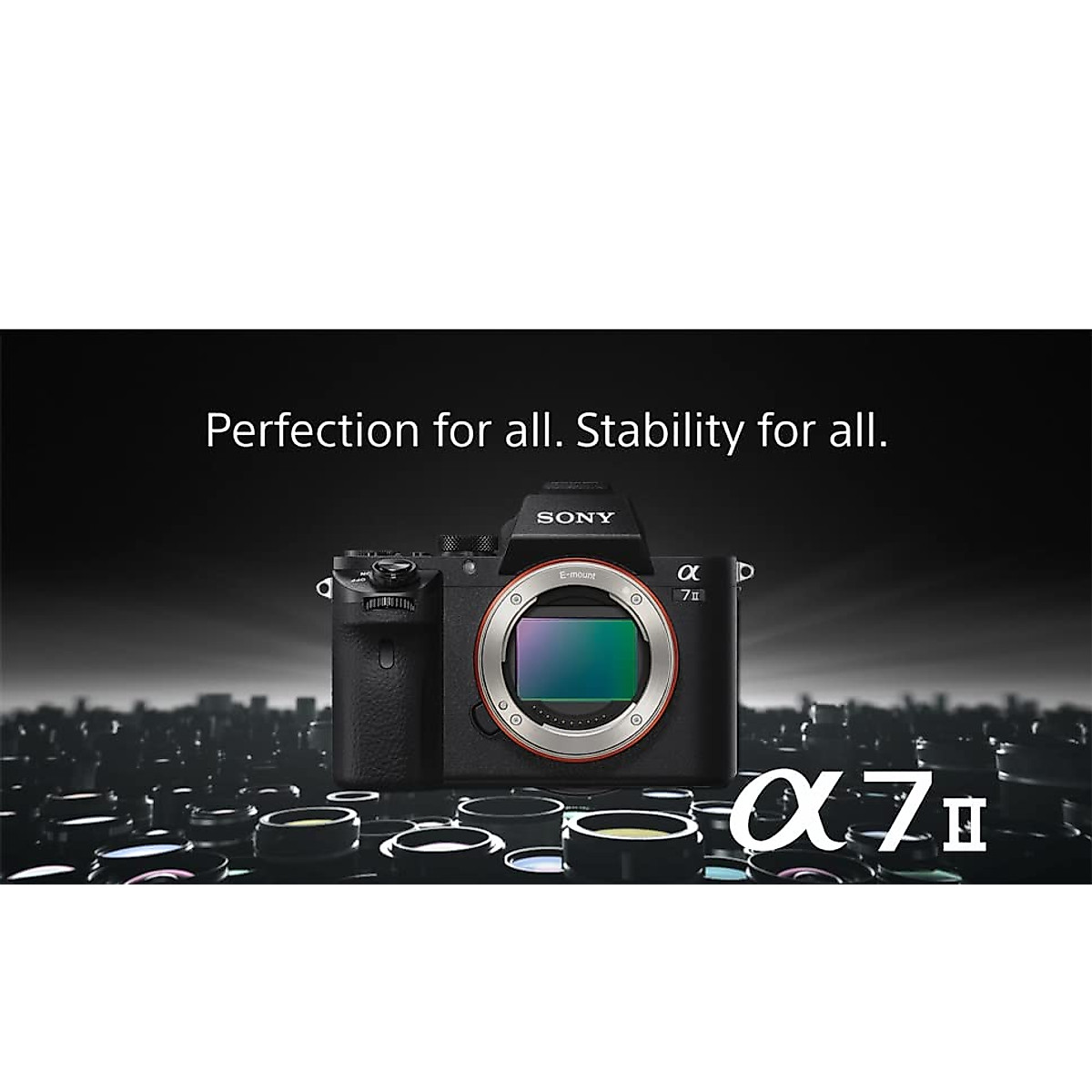 Sony Alpha a7II Mirrorless Interchangeable Lens Camera Body Bundle with 64GB Memory Card, Battery Grip, Flash, Camera Bag, Paintshop Pro, Dual Batteries and Accessories (9 Items)