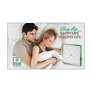 ECO POWER 14x20x1 Air Filter MERV 10, Pleated HVAC AC Furnace Air Filters Replacement (Actual Size: 13.6 x 19.6 x 0.75 Inches), SB3336