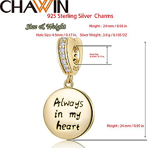 Always in My Heart Sparkling Paw Print Dangle Charm, 925 Sterling Silver Dog Cat Charms, Beads with CZ Stones Compatible with Pandora Charm Bracelet Necklace, Gift for Women/Wife/Mother/Pet Lover