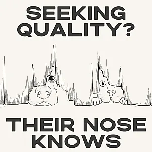 JACK'S PREMIUM Natural Pig Ears for Dogs - Large Ears - Made in The USA Wood Smoked, Preservative Free Dog Chew - Ideal for Small, Medium, and Large Dogs (18, Whole Pig Ear)