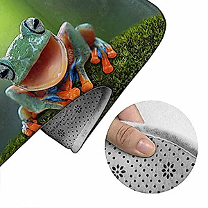 AOYEGO Tree Frog Laughing Bathroom Rugs Set of 3 Natural Animal Closeup Small Isolated Flying Fog Non Slip 31.5X19.7 Inch Soft Absorbent Polyester for Tub Shower Toilet