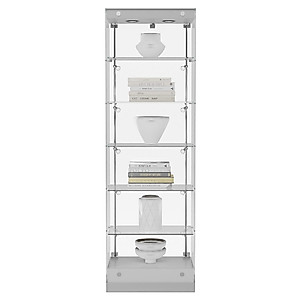 Displays2go Glass Display Case with LED Lighting, Locking Swing Open Door, Tempered Glass Shelves with MDF Top & Base – Clear & Silver (GTAP24LEDS)