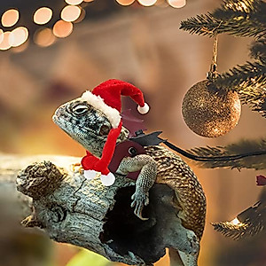 Mogoko Christmas Lizard Leash Bearded Dragon Harness Bat Wing Bowler hat Red Bow Tie Adjustable (S,M,L) Leather Reptile Lizard Leash for Gecko, Iguanas,Lizard Amphibians and Small Pet Animals Brown