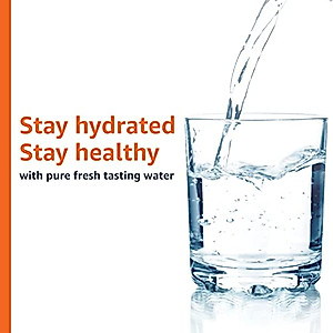 Amazon Basics 10-Cup Water Pitcher with Filter Included, Compatible with Brita