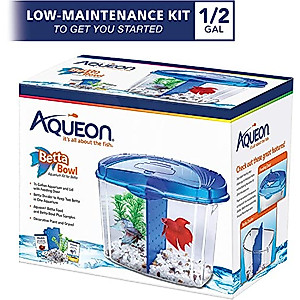 Aqueon Betta Tank Bundle