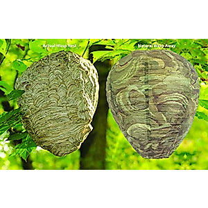 DeWitt 555910 Natural Wasp Away, 12" X 9", Camouflage