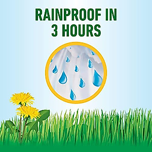 Roundup For Lawns₃ Ready-To-Spray - Tough Weed Killer for Use on Northern Grasses, 32 oz.