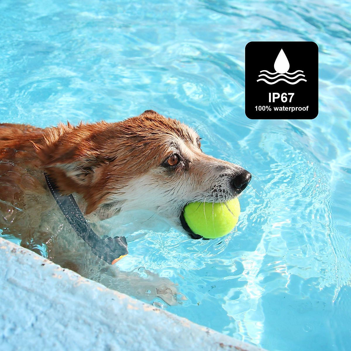 Bousnic Dog Training Collar 2 Dogs Upgraded 1000ft Remote Rechargeable Waterproof Electric Shock Collar with Beep Vibration Shock for Small Medium Large Dogs (15lbs - 120lbs)