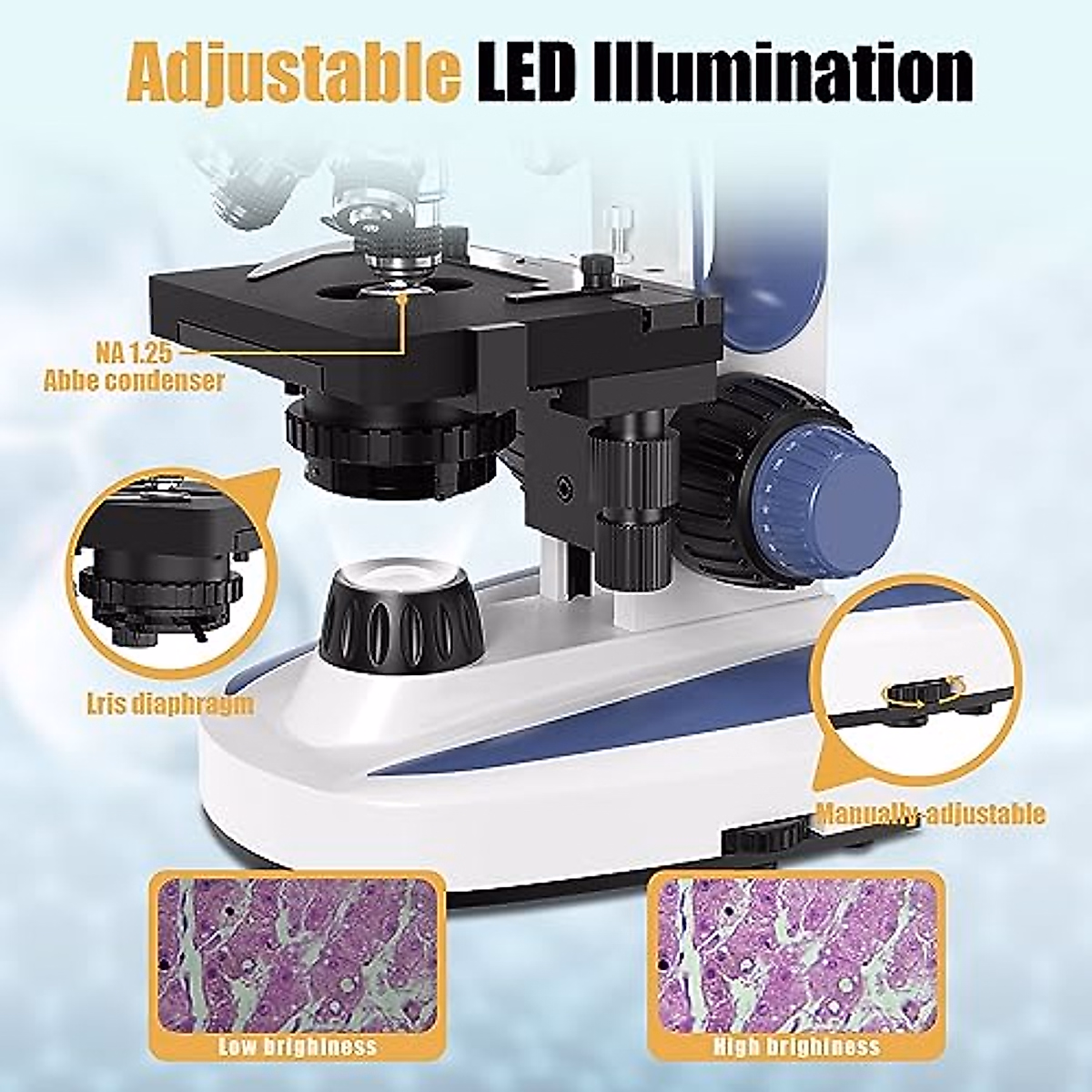 Upgrade Compound Monocular Microscope with 40X-2500X, Dual-View Microscope for Adults, Wide-Field 10X and 25X Eyepieces, Dual Illumination, Built-in 5MP Camera with 7’’ LCD Screen, Abbe Condenser