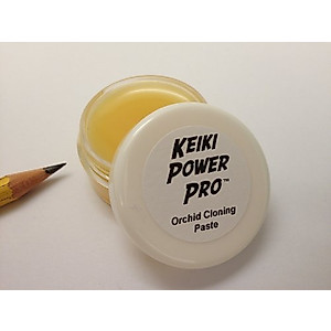 Keiki Power Pro Orchid Plant Cloning Paste