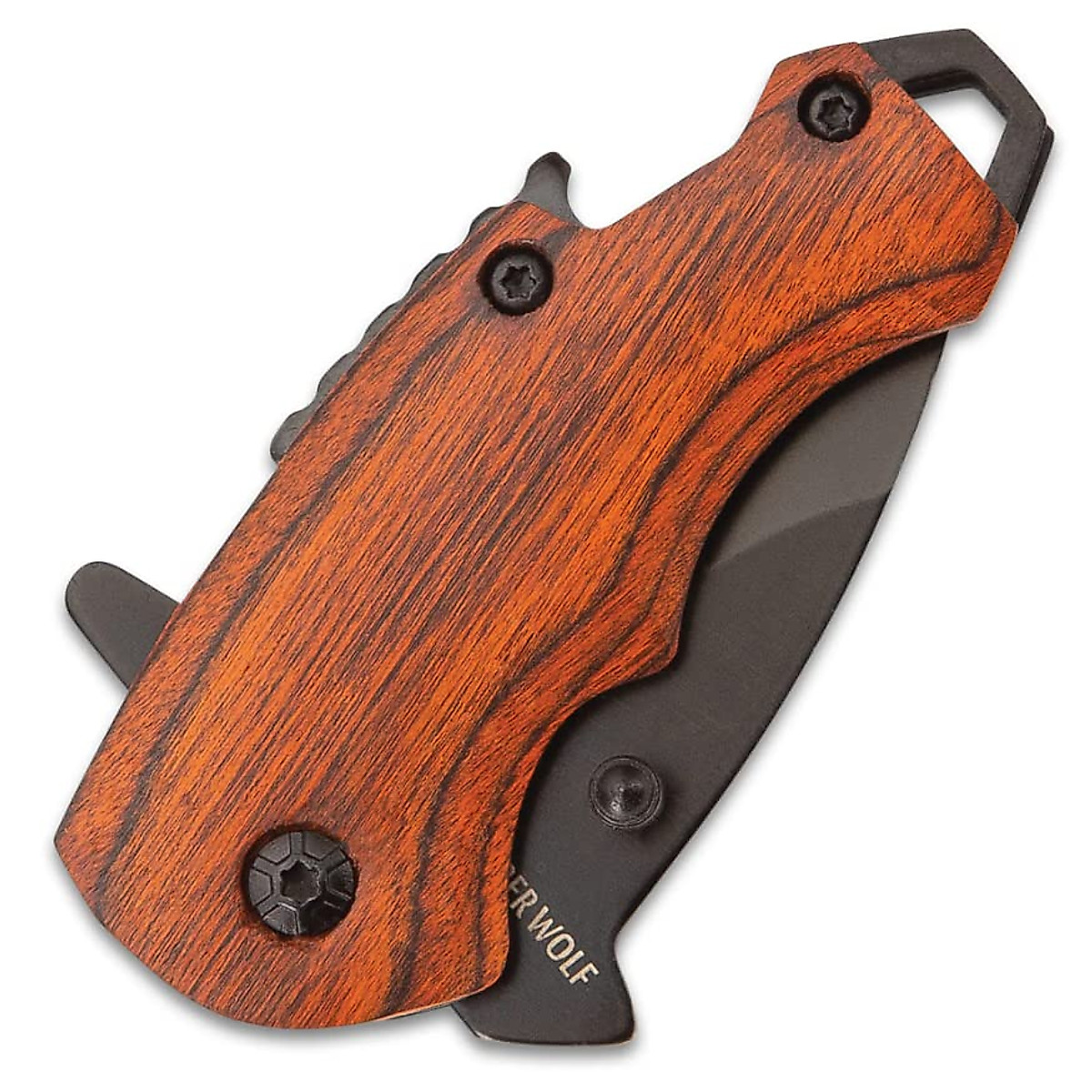 TIMBER WOLF Money Clip Pocket Knife - Stainless Steel Blade, Non-Reflective Finish, Pakkawood Handle Scales, Assisted Opening, Thumb Stud, Lanyard Hole, Must Have Everyday Carry - 2 1/2" Closed Length