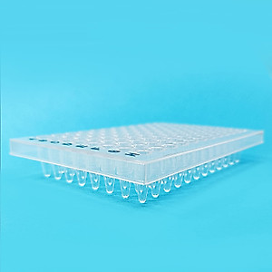 96 Well Half-Skirt PCR Plate 0.2mL Ultra Thin Wall Clean(10pcs)