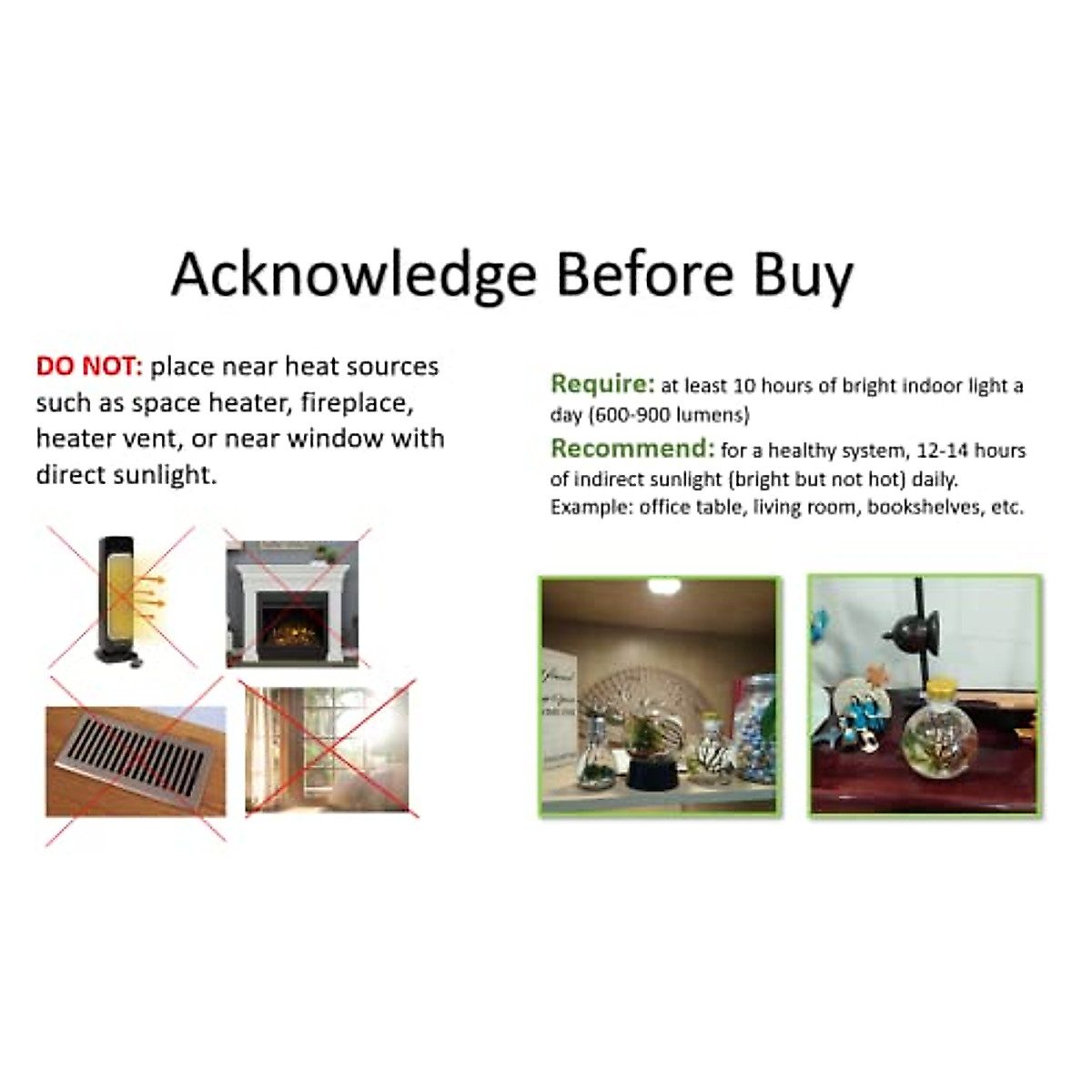 Enclosed Ecosystem Shrimps Bottle