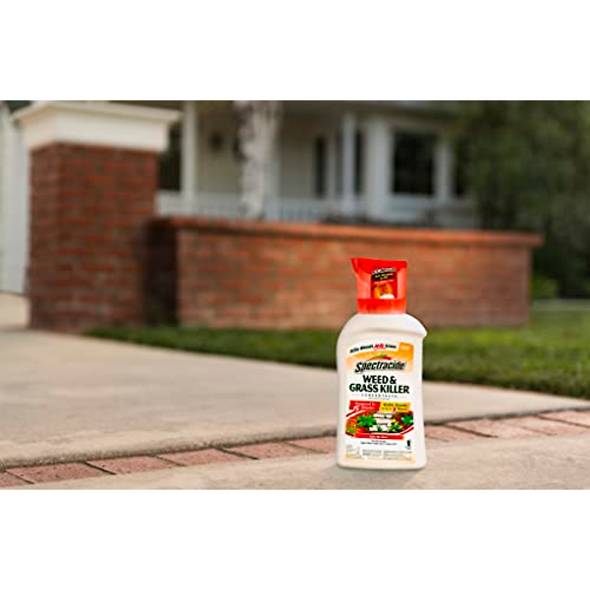 Spectracide Weed and Grass Killer Concentrate, 32 Ounces, With Accumeasure System