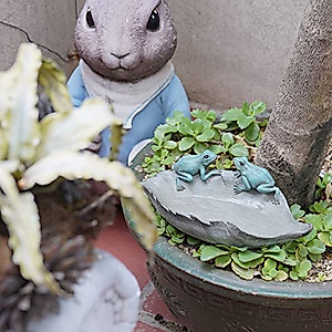 Bird-Feeder Wild Bird-Bath Bowl Outdoors - Garden Decor Polyresin Frogs on Leaf Bird Bath for Yard 12 x 7.25 x 3.5 inch-Newman House Studio