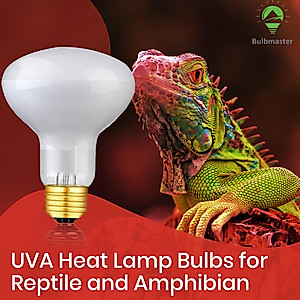 BULBMASTER Reptile Heat Lamp Bulb 100 Watts UVA Basking Light for Reptiles and Amphibian, Basking Light for Bearded Dragon, UVA Reptile Light Bulb E26 Base 2 Pack