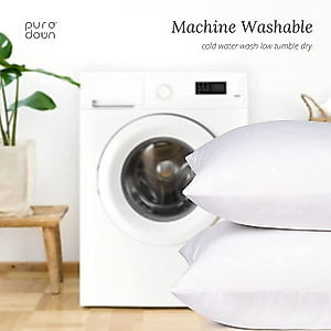 Euro Pillow Inserts 24 x 24 (Pack of 2, White), Down Feather Pillow Stuffer, Premium White Pillows for Bed, Couch, and Cushion