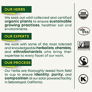 Traditional Medicinals Tea, Organic EveryDay Detox Schisandra Berry, Supports Healthy Liver Function, Detox, 96 Tea Bags (6 Pack)