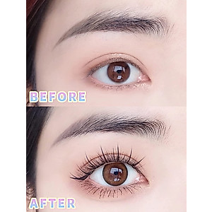 Saibinuo 240pcs Mixed Pack C Curl False Eyelash Extension Individual Lashes Lower Bottom Lash (5-6mm) Fairy Style A Shape (10-12mm) Fish Tail (9-11mm) Natural Clusters, 240 Count (Pack of 1).