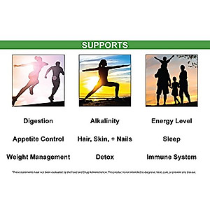 Daily Green Boost 8oz Organic Raw Vegan GF USA