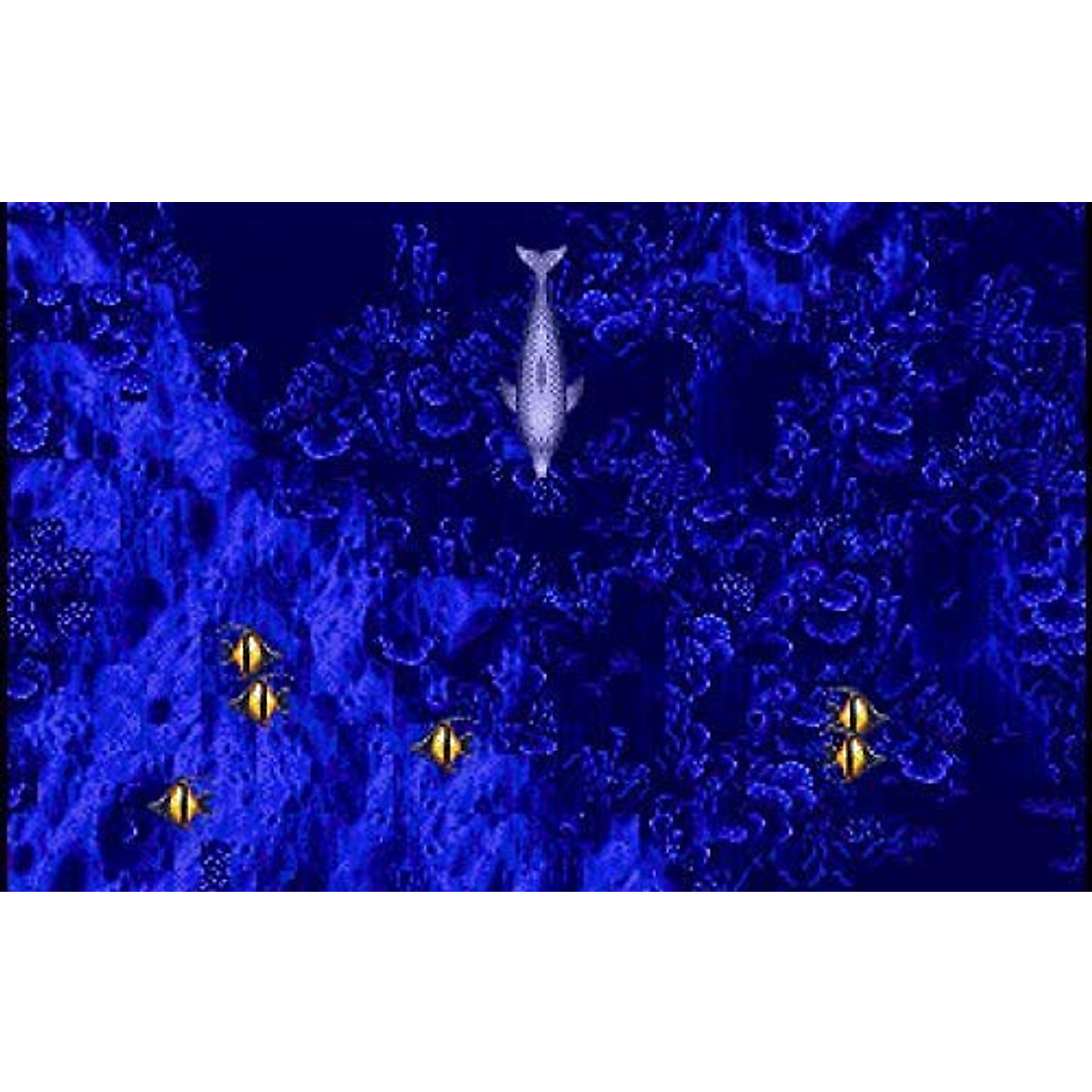 Ecco the Dolphin (Sega Genesis) - Reproduction VIdeo Game Cartridge