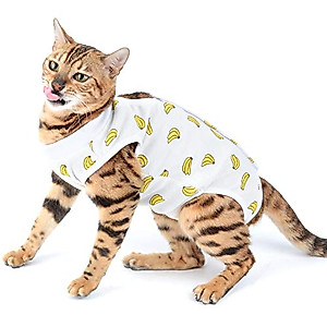 Zunea Cat Surgery Recovery Suit for Abdominal Wounds Soft Cotton Skin Diseases Clothes After Surgery Wear Cone E-Collar Alternative Clothing Kitten Surgical Pajama for Anti Licking Banana M