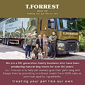 T. Forrest Beef Rib Dog Bones 6-8" (6 Pack) Natural Grass Fed Made in UK