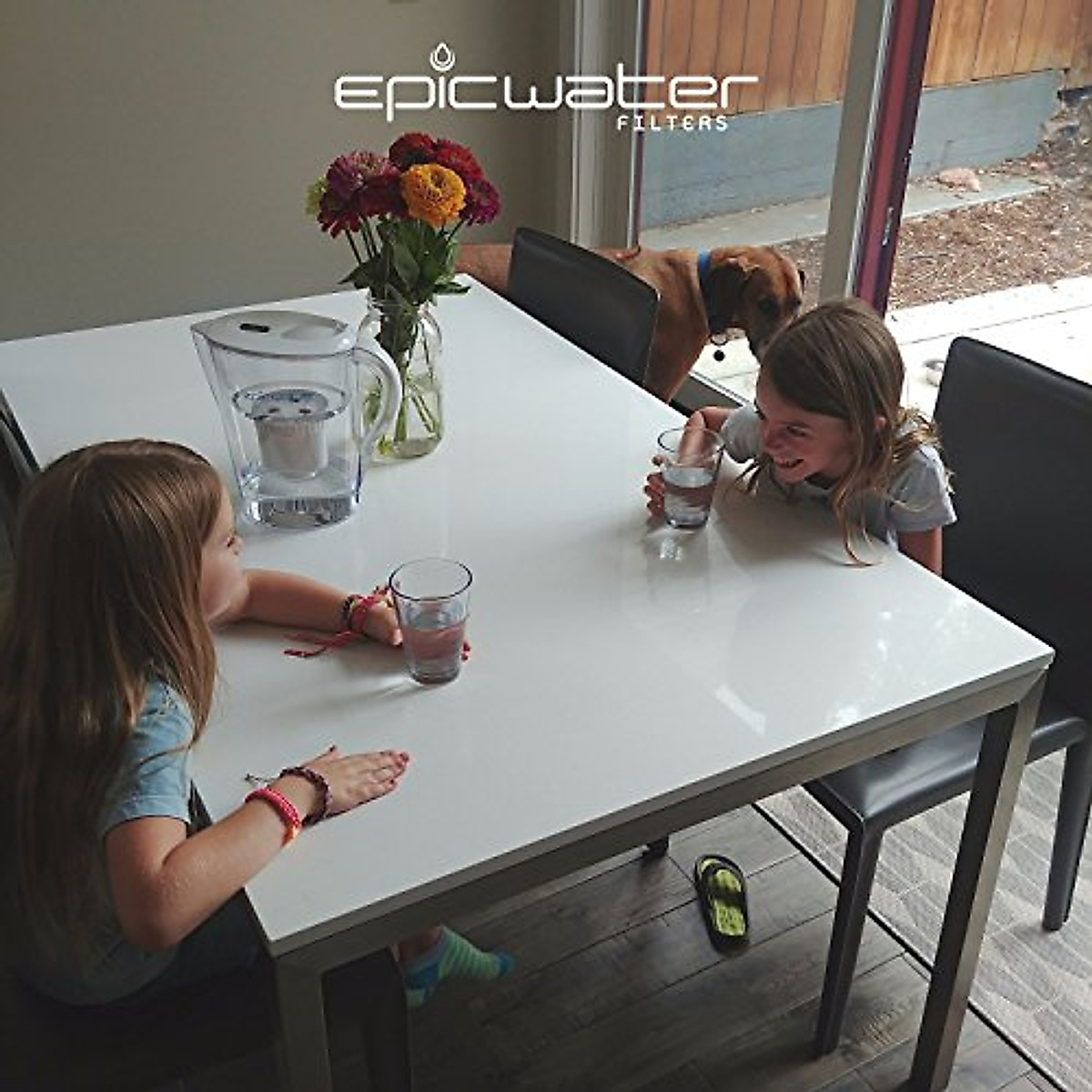 REPLACEMENT FILTER for Epic Pure Water Pitcher or Dispenser / 150 Gallon Long Last Filter | BPA Free.