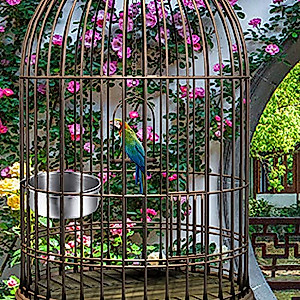 Milkary 3 Pieces Bird Feeding Dish Cups, Pet Food Water Bird Cup, Stainless Steel Parrot Feeding Cups, Animal Cage Bowl Bird Cage Cups Feeder with Clamp Holder