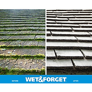 Wet & Forget Moss, Mold, Mildew, & Algae Stain Remover Multi-Surface Outdoor Cleaner Concentrate, Original, 128 Fluid Ounces