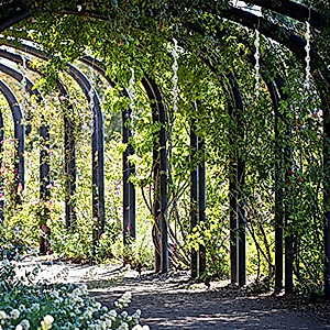 Hanging Anti Bird Rod 12Pcs Excellent Decorative Wind Spiral Reflective Hanging Bird Deterrent Rod Silver