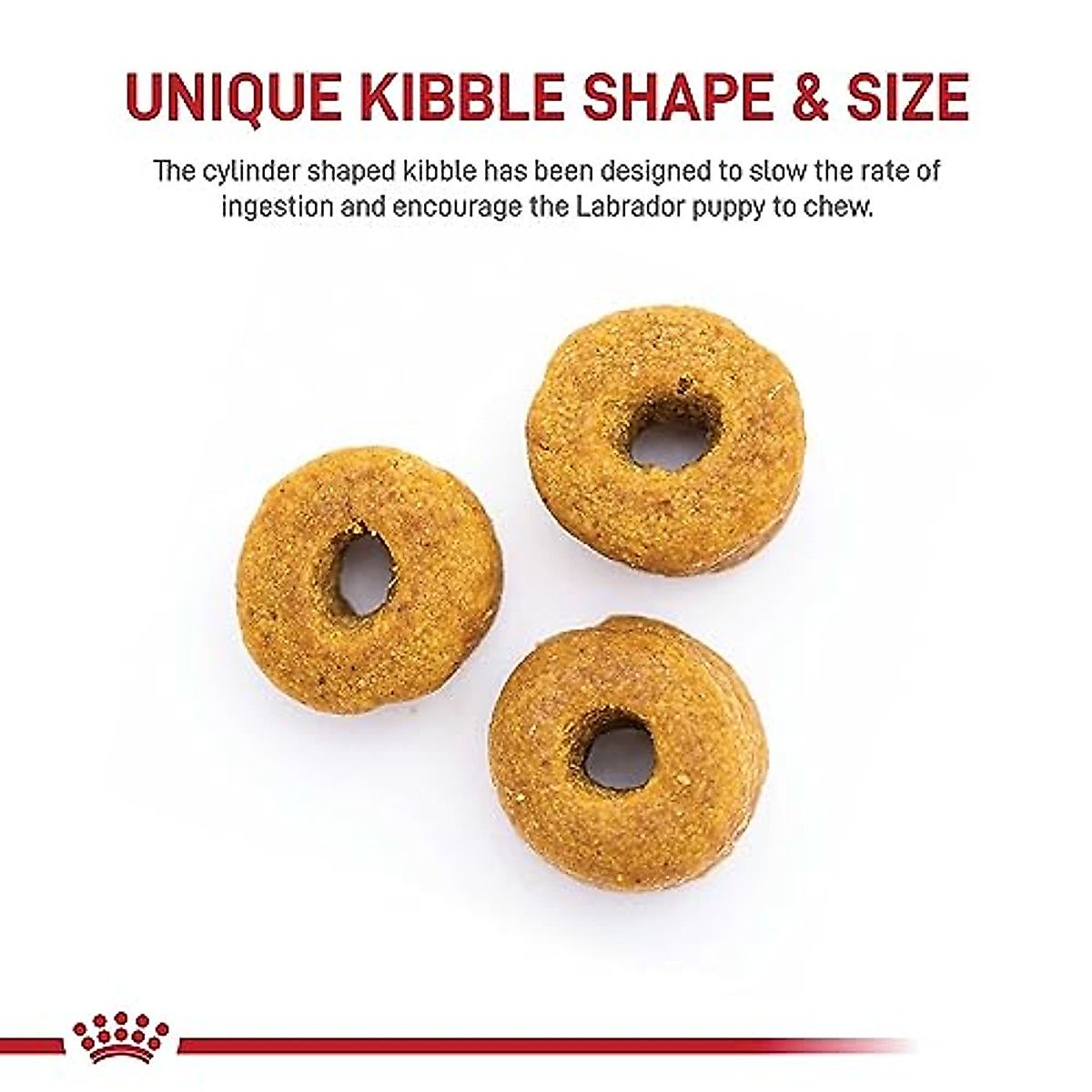 Royal Canin RCBHN Lab Puppy & Large Puppy Wet Dog Food