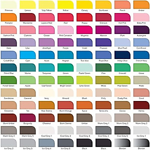 Winsor & Newton ProMarker Set, 96 Count, Extended Collection