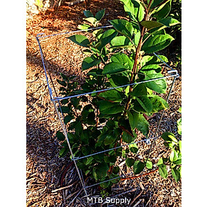 Galvanized Square Folding Tomato Cage Plant Support Stake Tower 12 inch by 46 inch, Pack of 2 Sets