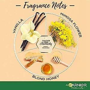 Garnier Whole Blends Sulfate Free Remedy Honey Treasures Replenishing Shampoo and Conditioner Set for Very Damaged Hair with Sample, 12 Fl Oz, 1 Kit (Packaging May Vary)