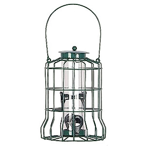 ISALRAY Outdoor Hanging Wild Bird Feeder Cage Squirrel Proof with Large PC Tube Metal Seed Guard Feeder