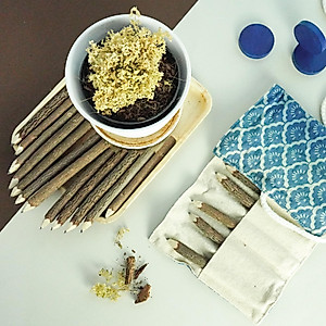 BSIRI Pencil Wood Favors of Graphite Wooden Tree Rustic Twig Pencils Unique Birch of 12 Camping Lumberjack Decorations Party Supplies Novelty Gifts as a Natural Pencil Gifts for Kids in Classroom