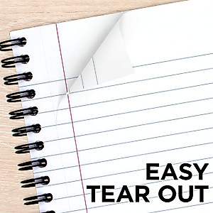 Cambridge Business Notebook, 80 Sheets, Legal Ruled, 8-1/4" x 11", Wirebound, Black (06062)