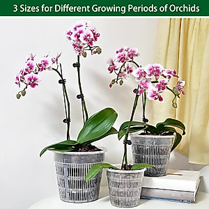 Tialero Orchid Pot, 12 Pack Orchid Pots with Holes, 4 Each of 4.5in, 5.5in and 6.3in Clear Orchid Pots for Repotting, Breathable Slotted Orchids Planter (4Pcs 6.3in+ 4Pcs 5.5in+ 4Pcs 4.5in)