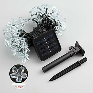 Qedertek Solar String Lights, Cherry Blossom 22ft 50 LED Waterproof Flower Outdoor String Lights for Patio,Lawn,Garden,Holiday,Halloween Solar Lights,and Festivals Decorations (Purple)