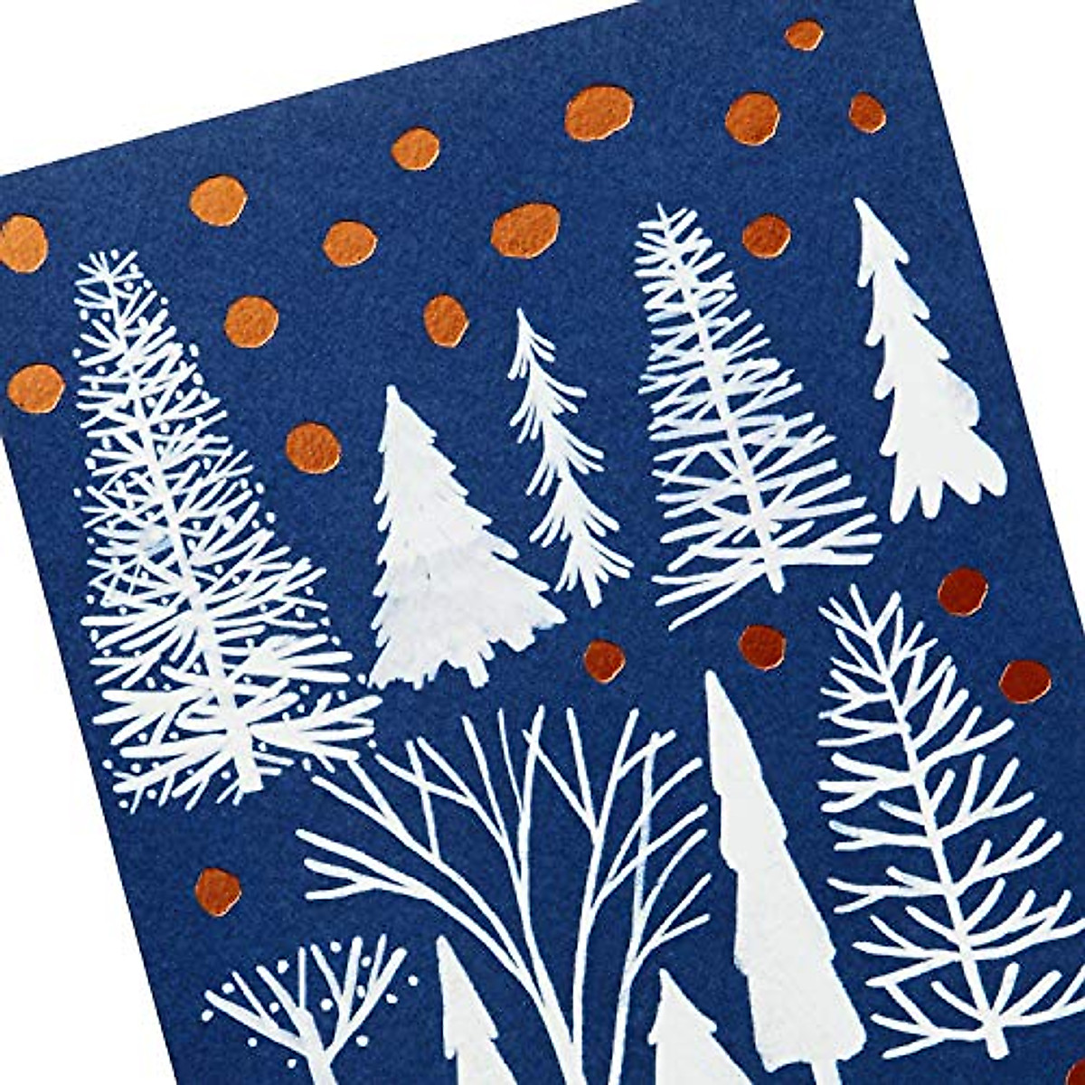 Hallmark Boxed Christmas Cards Assortment, Peace Hope Joy (48 Cards with Envelopes) (1XPX5176)