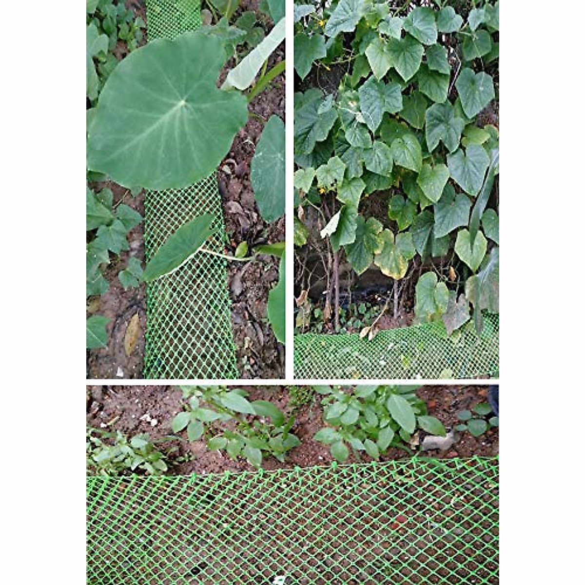 Cat Scat Mat Digging Stopper Prickle Strip Stop cat mat Keep cat Off 6.5 Foot 1pcs Green