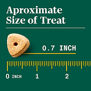 Nutro Crunchy Dog Treats With Real Apple, 10 oz. Bag