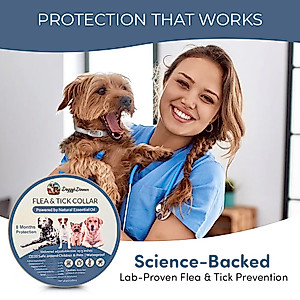 Flea and Tick Collar for Dogs and Cats- Long-Lasting 8-Month Protection Using Natural Plant-Based Oils - Safe for Pets, People and The Environment - 2-Pack Flea Collar for Dogs and Cats